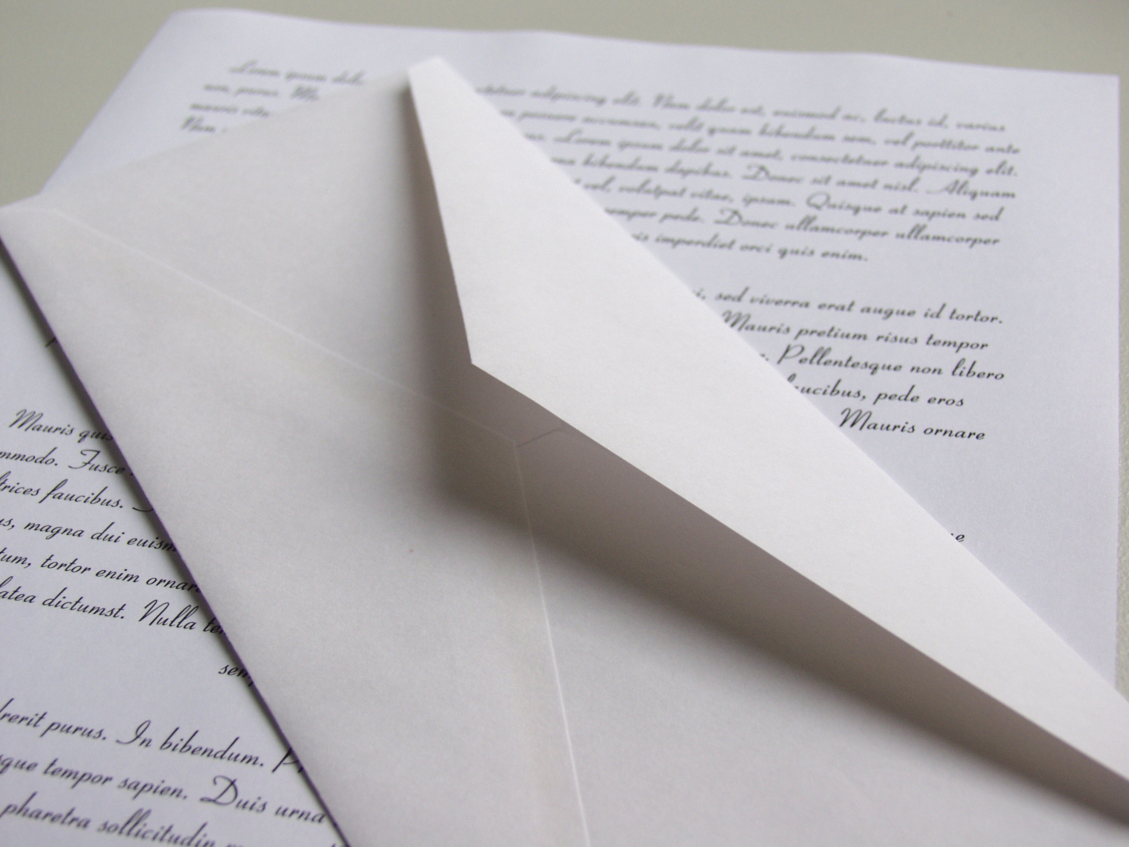 The Ultimate Guide For Reing A Letter Of Recommendation For Grad School Take Your Success